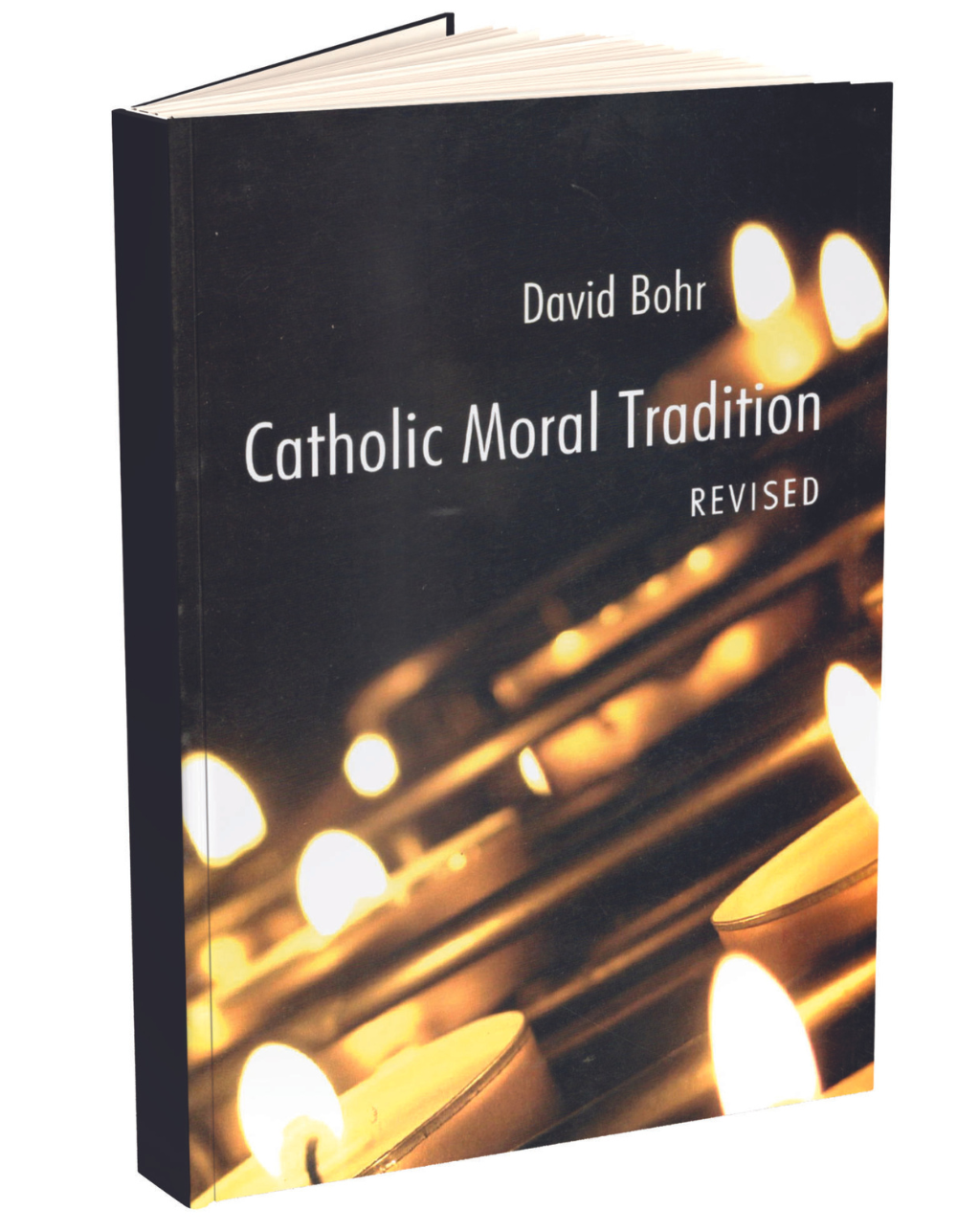 Catholic Moral Tradition: Revised - Theological Publications in India (TPI)